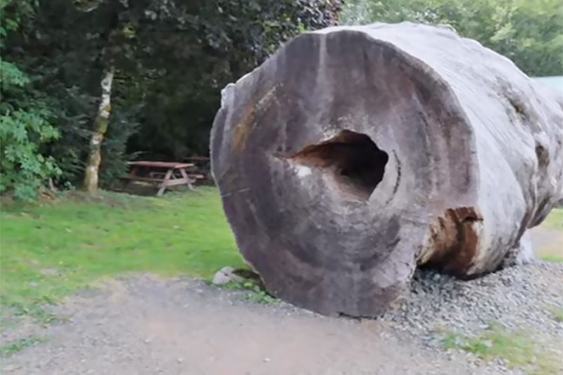 Exhibits - Forks Timber Museum